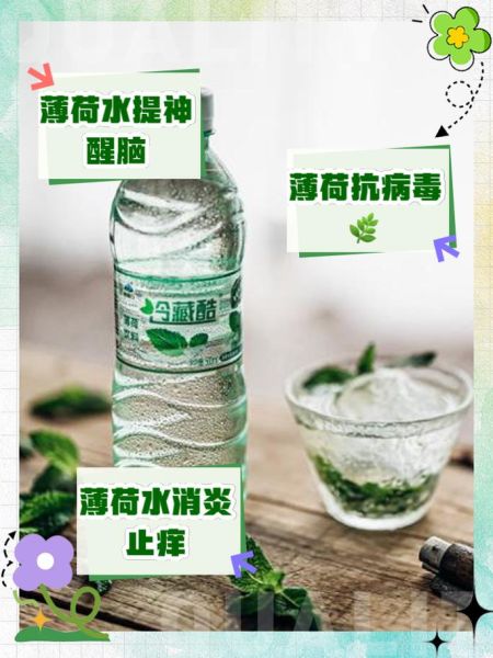 喝薄荷水有什么好处_喝薄荷水的禁忌有哪些-第2张图片-山城妙识 喝薄荷水有什么好处_喝薄荷水的禁忌有哪些-第2张图片-山城妙识