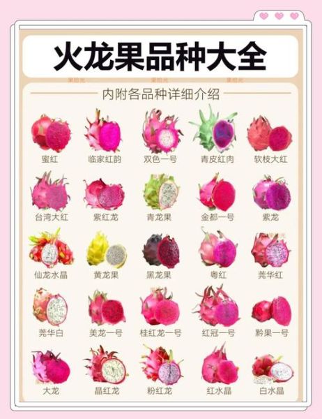 火龙果有什么营养_火龙果的功效与作用-第2张图片-山城妙识 火龙果有什么营养_火龙果的功效与作用-第2张图片-山城妙识