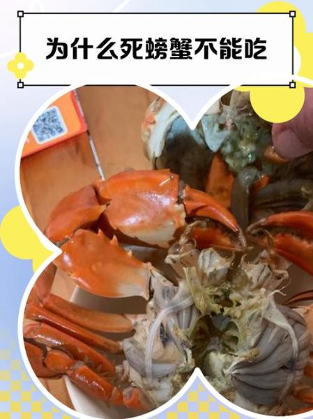 螃蟹放了一晚上死了怎么办_还能不能吃-第3张图片-山城妙识 螃蟹放了一晚上死了怎么办_还能不能吃-第3张图片-山城妙识