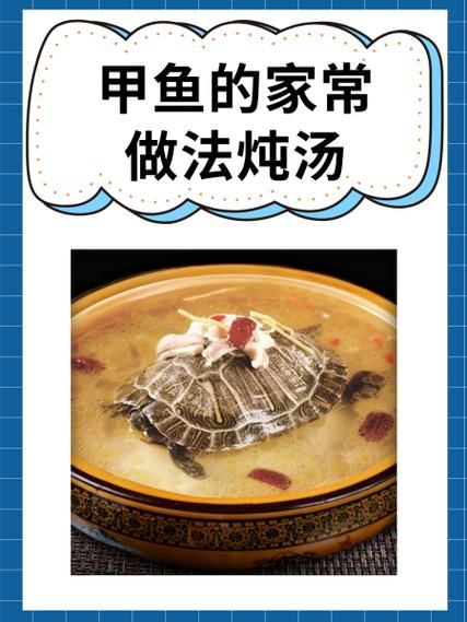 甲鱼怎么炖汤好喝_甲鱼的家常做法步骤-第1张图片-山城妙识 甲鱼怎么炖汤好喝_甲鱼的家常做法步骤-第1张图片-山城妙识