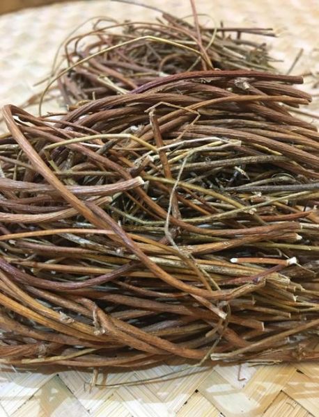 鸡骨草不适合人群有哪些_孕妇能吃吗-第2张图片-山城妙识