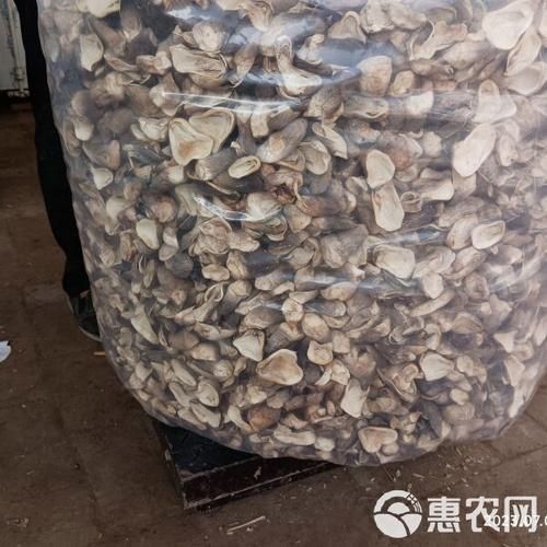 草菇怎么清洗_草菇清洗方法图解-第1张图片-山城妙识 草菇怎么清洗_草菇清洗方法图解-第1张图片-山城妙识