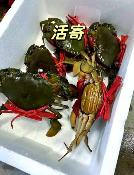 膏蟹怎么蒸好吃又简单_膏蟹清蒸几分钟-第1张图片-山城妙识 膏蟹怎么蒸好吃又简单_膏蟹清蒸几分钟-第1张图片-山城妙识