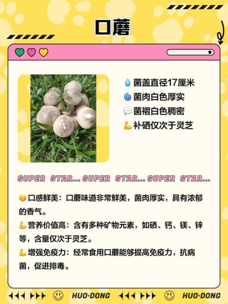 白色蘑菇怎么炒好吃_白色蘑菇炒多久才熟-第1张图片-山城妙识