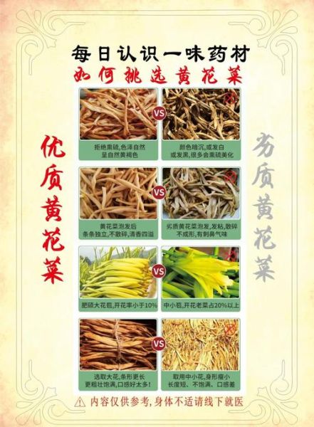 金针菜的功效与作用禁忌_什么人不能吃-第1张图片-山城妙识