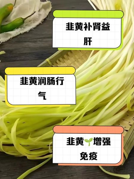 韭黄的功效与作用禁忌_什么人不能吃韭黄-第1张图片-山城妙识