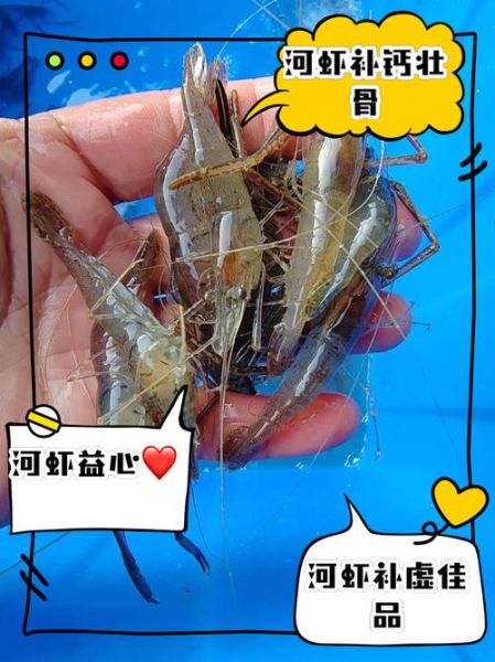 河虾长什么样_河虾外形特征-第2张图片-山城妙识