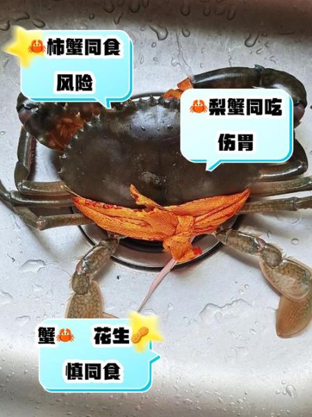 螃蟹不能和什么一起吃_吃螃蟹的禁忌-第3张图片-山城妙识