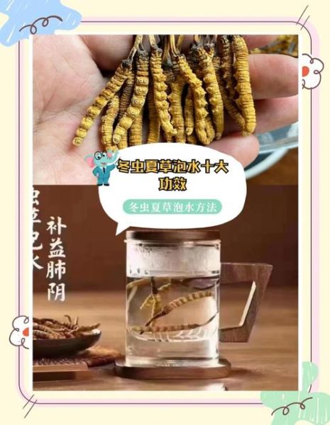 冬虫夏草泡水喝一次泡几根_用量正确吗-第2张图片-山城妙识