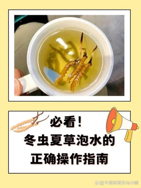 冬虫夏草泡水喝一次泡几根_用量正确吗-第1张图片-山城妙识