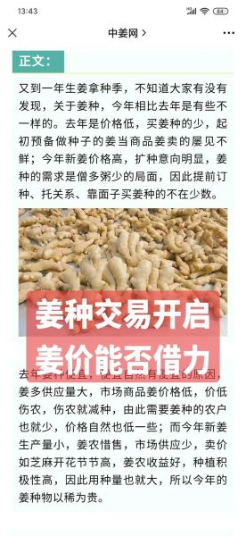 生姜价格行情_生姜最新价格是多少-第3张图片-山城妙识