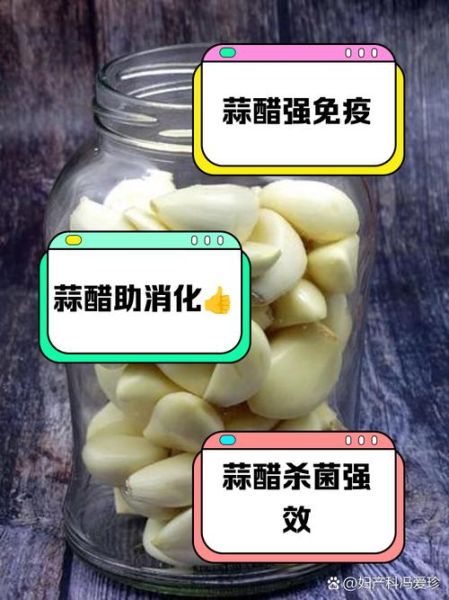 白醋泡大蒜的做法_白醋泡大蒜的功效与禁忌-第3张图片-山城妙识 白醋泡大蒜的做法_白醋泡大蒜的功效与禁忌-第3张图片-山城妙识