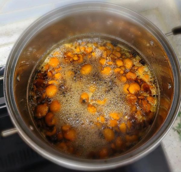 自制枇杷膏能保存多久_如何延长保质期-第3张图片-山城妙识 自制枇杷膏能保存多久_如何延长保质期-第3张图片-山城妙识