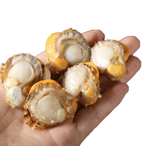 冷冻扇贝肉怎么处理干净_冷冻扇贝肉清洗去沙技巧-第2张图片-山城妙识 冷冻扇贝肉怎么处理干净_冷冻扇贝肉清洗去沙技巧-第2张图片-山城妙识