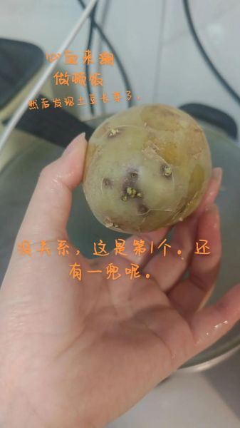 轻微发芽的土豆有毒吗_吃了会不会中毒-第3张图片-山城妙识