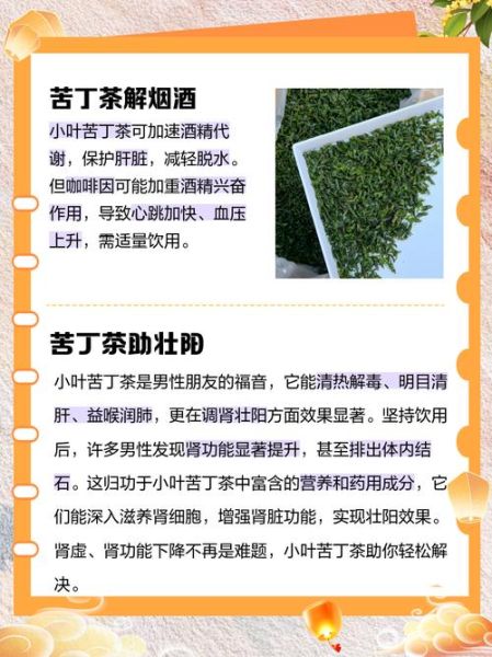 苦丁茶能提高性功能吗_男人喝苦丁茶多久见效-第2张图片-山城妙识 苦丁茶能提高性功能吗_男人喝苦丁茶多久见效-第2张图片-山城妙识