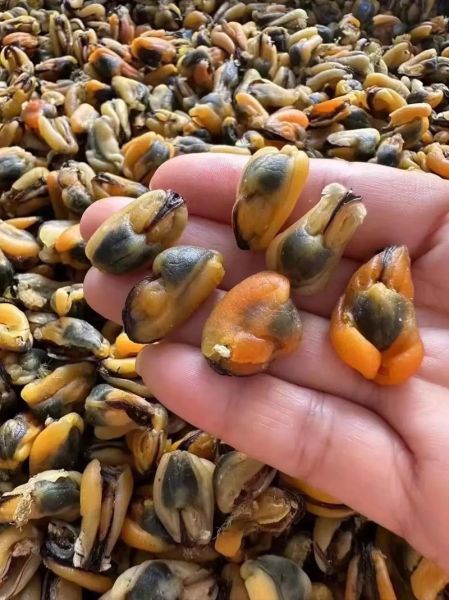 干淡菜怎么吃_干淡菜的家常做法-第1张图片-山城妙识