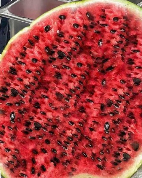 西瓜子是什么瓜的种子_西瓜子来自哪种瓜-第1张图片-山城妙识