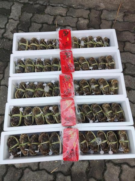 阳澄湖大闸蟹提货官网怎么预约_提货流程多久能收到-第1张图片-山城妙识