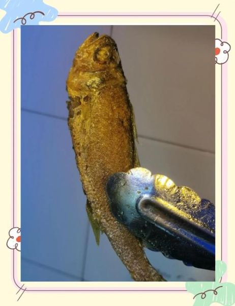 煎焖小黄鱼怎么做_小黄鱼煎多久才金黄-第3张图片-山城妙识