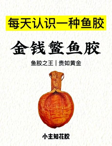 金钱鳘多少钱一斤_金钱鳘为什么这么贵-第1张图片-山城妙识