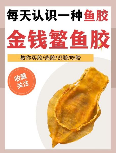 金钱鳘多少钱一斤_金钱鳘为什么这么贵-第2张图片-山城妙识