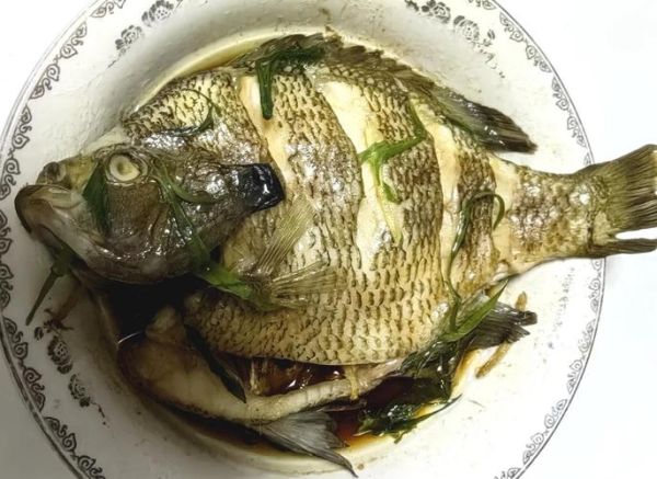 太阳鱼多少钱一斤_太阳鱼价格为什么波动大-第3张图片-山城妙识 太阳鱼多少钱一斤_太阳鱼价格为什么波动大-第3张图片-山城妙识