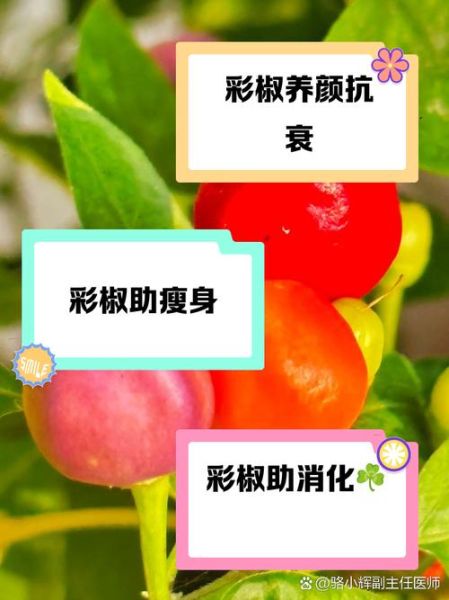 彩椒的热量是多少_减肥可以吃彩椒吗-第2张图片-山城妙识