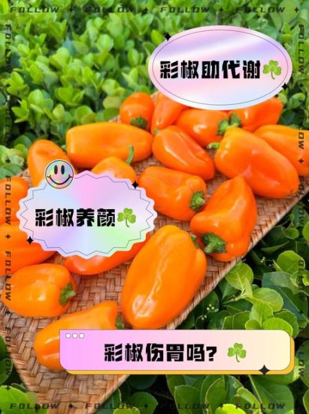 彩椒的热量是多少_减肥可以吃彩椒吗-第3张图片-山城妙识