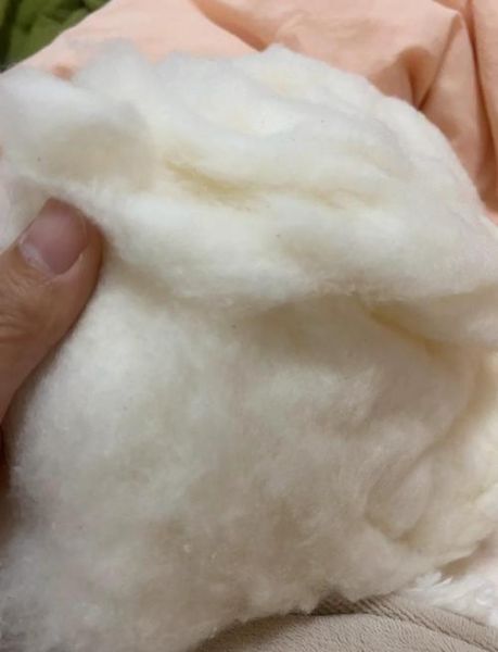 肉松里面真的有棉花吗_肉松和棉花的区别-第1张图片-山城妙识 肉松里面真的有棉花吗_肉松和棉花的区别-第1张图片-山城妙识