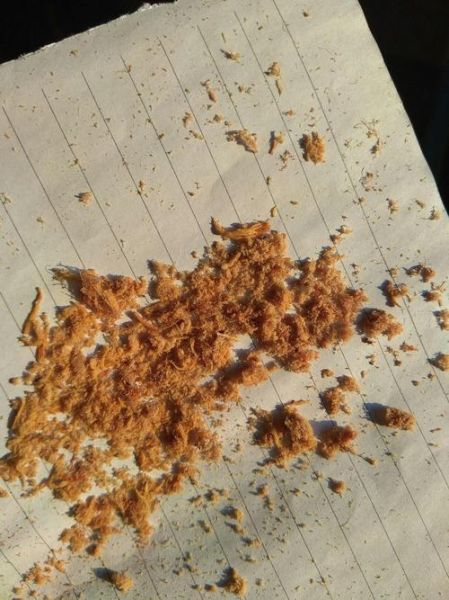 肉松里面真的有棉花吗_肉松和棉花的区别-第3张图片-山城妙识 肉松里面真的有棉花吗_肉松和棉花的区别-第3张图片-山城妙识