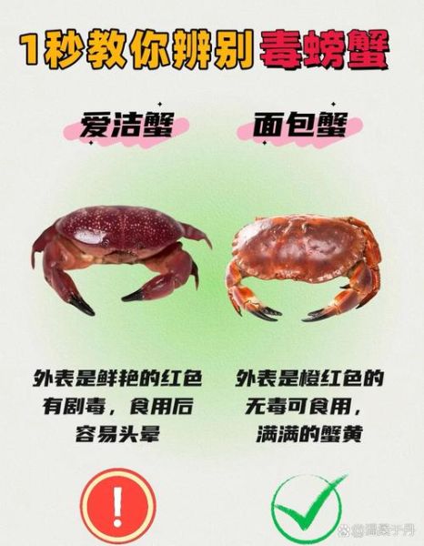 十大剧毒螃蟹有哪些_如何识别致命蟹种-第1张图片-山城妙识 十大剧毒螃蟹有哪些_如何识别致命蟹种-第1张图片-山城妙识