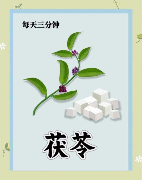 茯苓粉怎么吃最好_茯苓粉的正确吃法-第2张图片-山城妙识 茯苓粉怎么吃最好_茯苓粉的正确吃法-第2张图片-山城妙识
