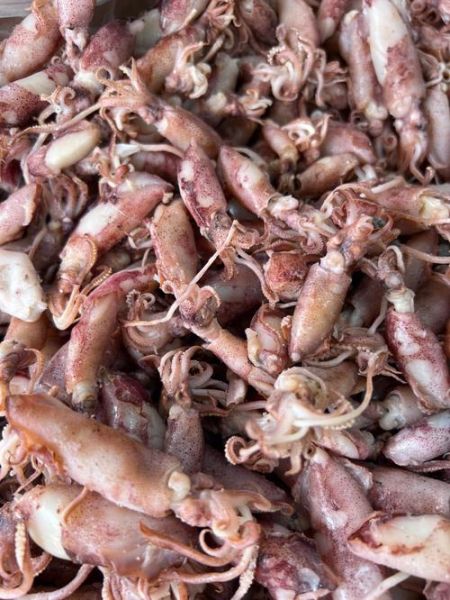 咸的小海兔怎么做好吃_咸小海兔去咸技巧-第3张图片-山城妙识