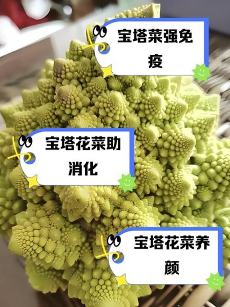 宝塔菜花怎么做好吃_宝塔菜花营养价值-第2张图片-山城妙识