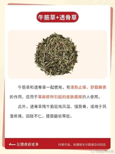 牛筋草怎么吃治类风湿关节炎_牛筋草治疗类风湿的用法-第3张图片-山城妙识