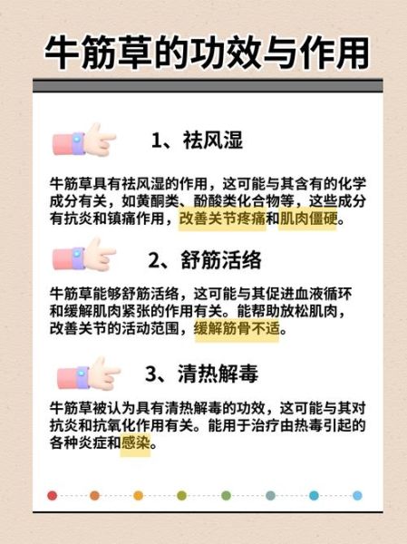 牛筋草怎么吃治类风湿关节炎_牛筋草治疗类风湿的用法-第1张图片-山城妙识