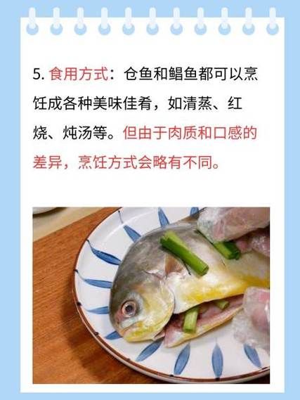 金鲳鱼和银鲳鱼区别_哪个更好吃-第1张图片-山城妙识 金鲳鱼和银鲳鱼区别_哪个更好吃-第1张图片-山城妙识