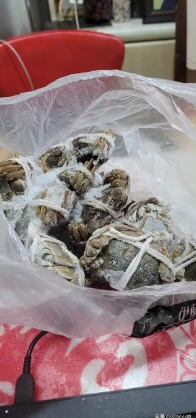 海蟹死了第二天还能吃吗_死了的海蟹隔夜能吃吗-第3张图片-山城妙识 海蟹死了第二天还能吃吗_死了的海蟹隔夜能吃吗-第3张图片-山城妙识