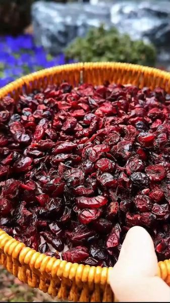 蔓越莓果干的功效与作用_蔓越莓果干一天吃多少合适-第2张图片-山城妙识 蔓越莓果干的功效与作用_蔓越莓果干一天吃多少合适-第2张图片-山城妙识