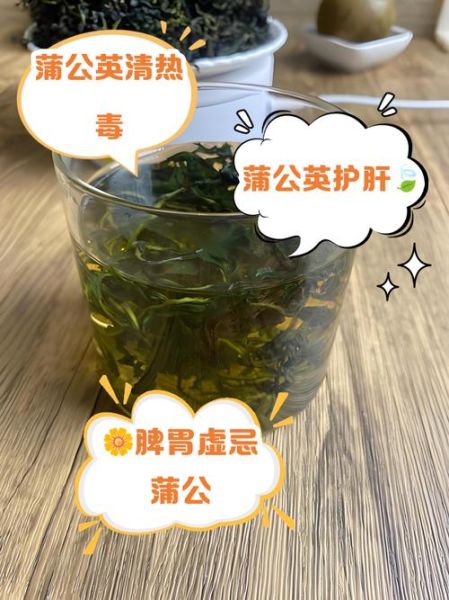 婆婆丁的功效与作用_婆婆丁怎么吃最好-第3张图片-山城妙识 婆婆丁的功效与作用_婆婆丁怎么吃最好-第3张图片-山城妙识