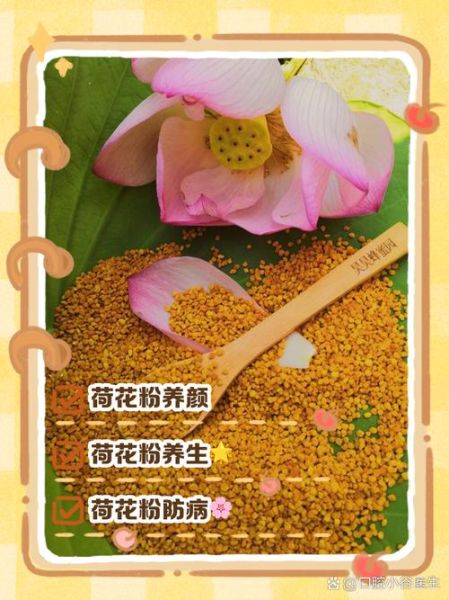 女人长期吃花粉的好处_花粉对女性的作用有哪些-第2张图片-山城妙识 女人长期吃花粉的好处_花粉对女性的作用有哪些-第2张图片-山城妙识
