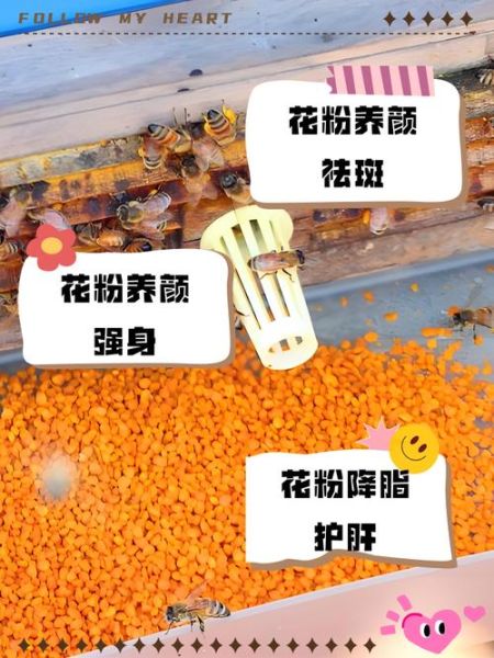 女人长期吃花粉的好处_花粉对女性的作用有哪些-第1张图片-山城妙识 女人长期吃花粉的好处_花粉对女性的作用有哪些-第1张图片-山城妙识