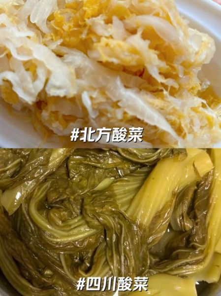 酸菜和什么菜搭配好吃_酸菜最佳配菜推荐-第3张图片-山城妙识