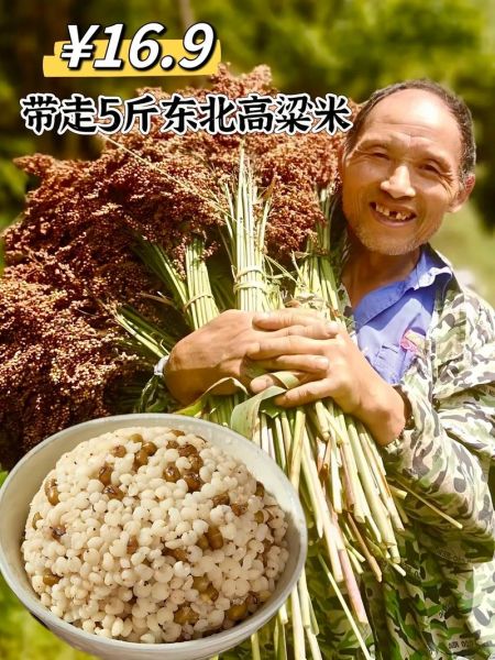 高粱米干饭怎么做_高粱米干饭的做法大全-第3张图片-山城妙识 高粱米干饭怎么做_高粱米干饭的做法大全-第3张图片-山城妙识