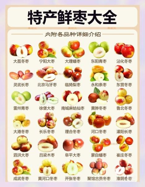 枣的种类有哪些_如何挑选最适合的品种-第1张图片-山城妙识 枣的种类有哪些_如何挑选最适合的品种-第1张图片-山城妙识