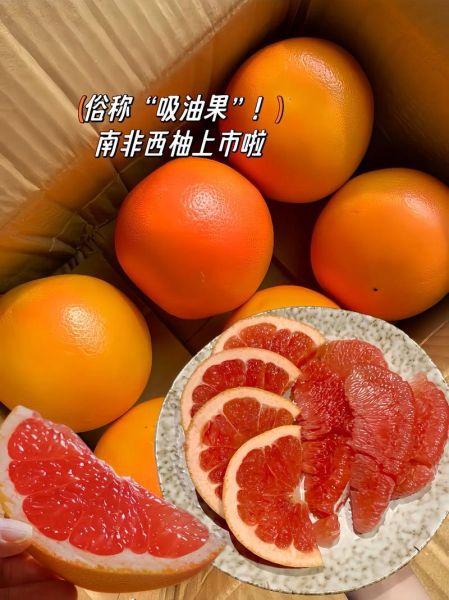 西柚是什么水果_西柚和葡萄柚的区别-第2张图片-山城妙识 西柚是什么水果_西柚和葡萄柚的区别-第2张图片-山城妙识