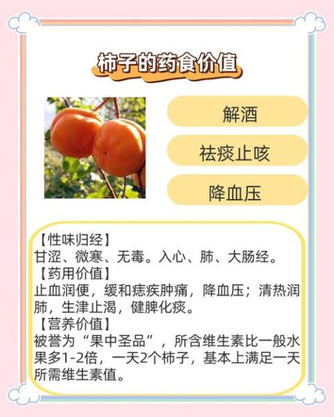 柿子有什么功效与作用_吃柿子会上火吗-第2张图片-山城妙识 柿子有什么功效与作用_吃柿子会上火吗-第2张图片-山城妙识