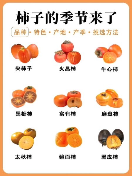 柿子有什么功效与作用_吃柿子会上火吗-第1张图片-山城妙识 柿子有什么功效与作用_吃柿子会上火吗-第1张图片-山城妙识