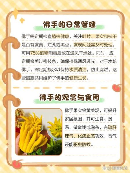 佛手盆栽怎么养_佛手盆栽多久浇一次水-第2张图片-山城妙识 佛手盆栽怎么养_佛手盆栽多久浇一次水-第2张图片-山城妙识